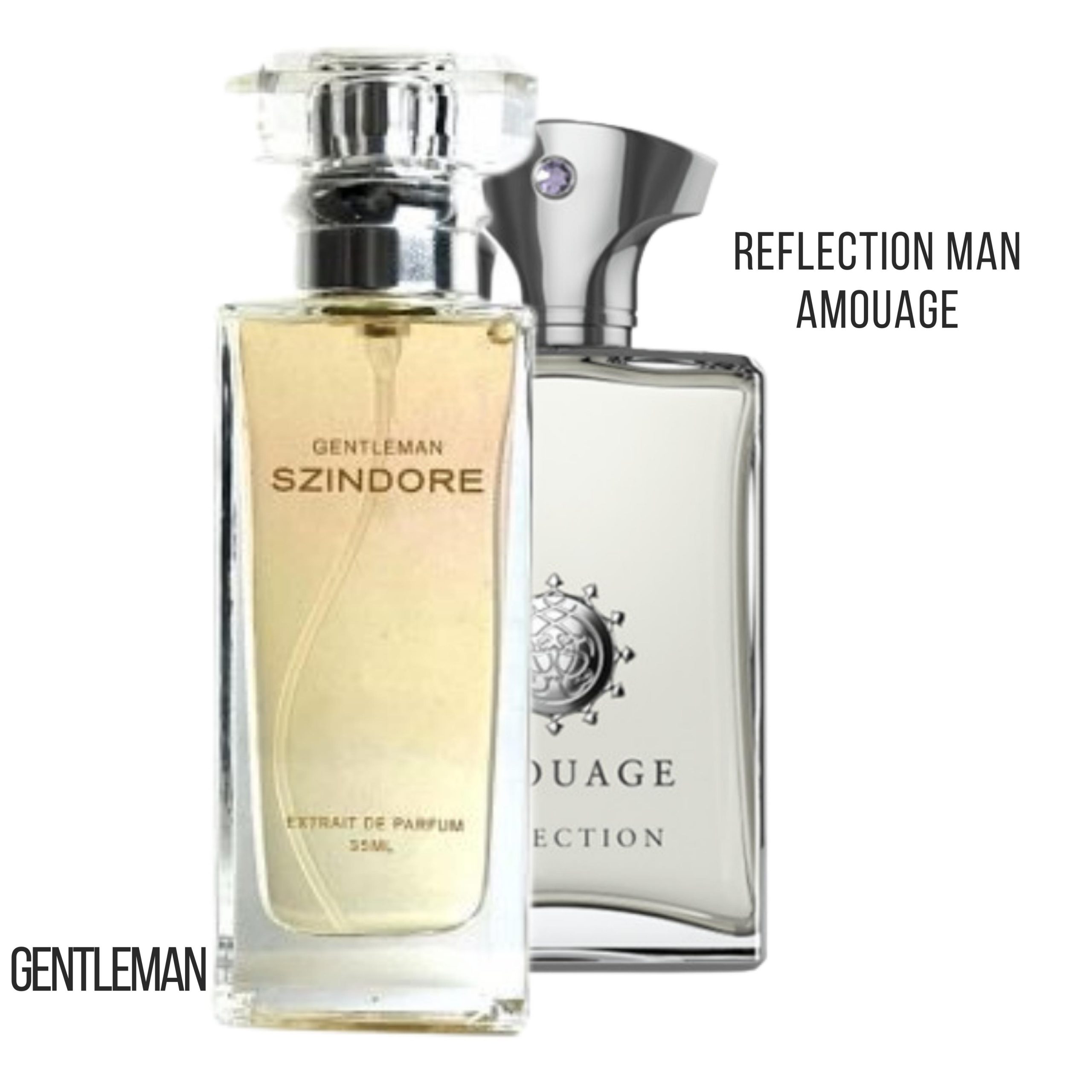 GENTLEMAN (REFINED SERIES AMOUAGE REFLECTION PERFUME) - Perfume Malaya