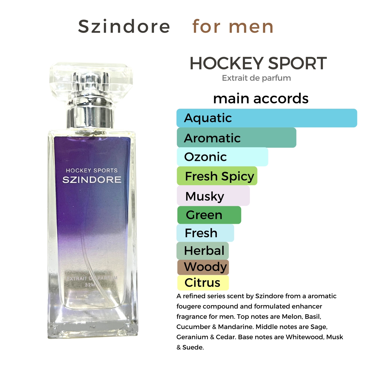 HOCKEY SPORT (REFINED SERIES OF POLO BLUE BY RALPH LAUREN) - Perfume Malaya