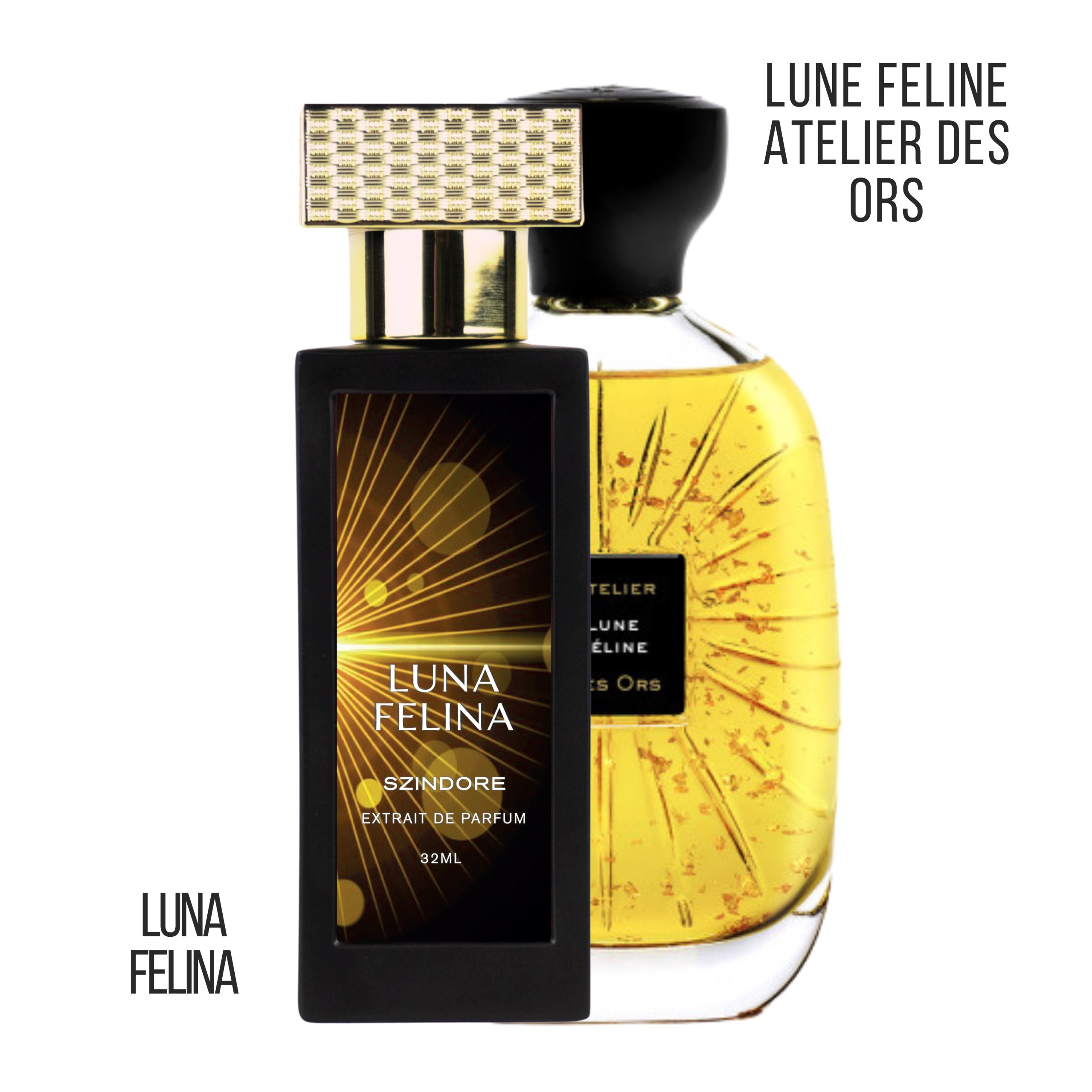 LUNA FELINA (REFINED SERIES BY LUNE FELINE ATELIER DES ORS) - Perfume ...